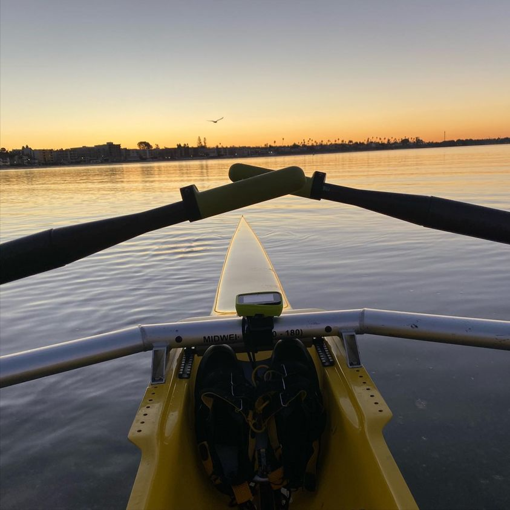 Angela Le's Portfolio